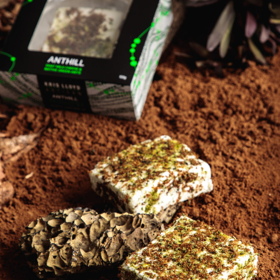 Anthill – Woodside Cheese Wrights